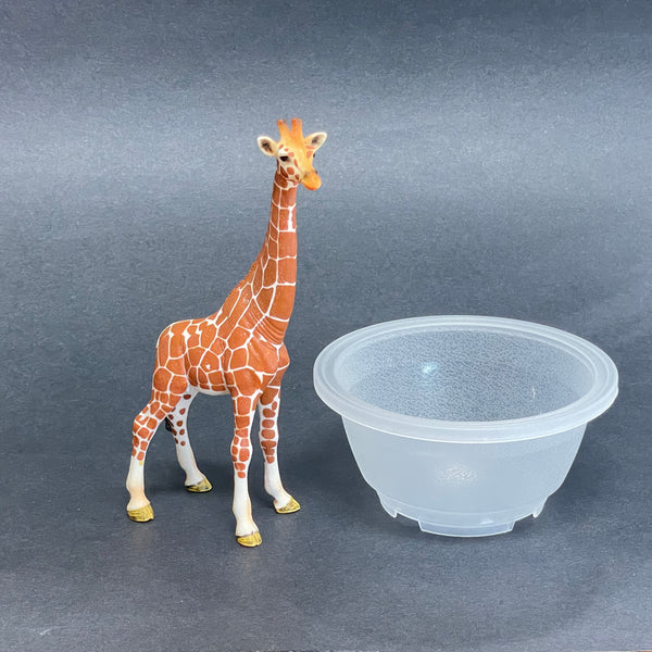 Shallow Dish Pots - Round - Plastic - Clear - Flori-Culture Tropical ...