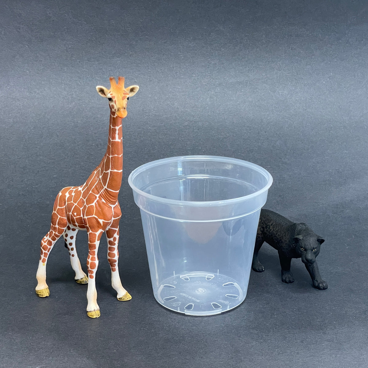 Round Plastic Pots - Clear - Flori-Culture Tropical Nursery + Hoya + Supply