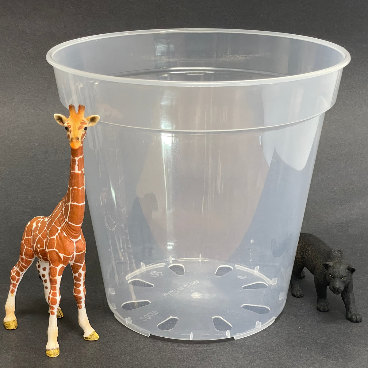 Round Plastic Pots - Clear - Flori-Culture Tropical Nursery + Hoya + Supply