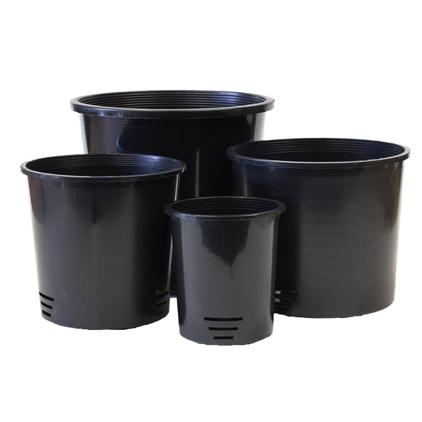 Growing Containers Tagged "deep plant pots" - Flori-Culture Tropical ...